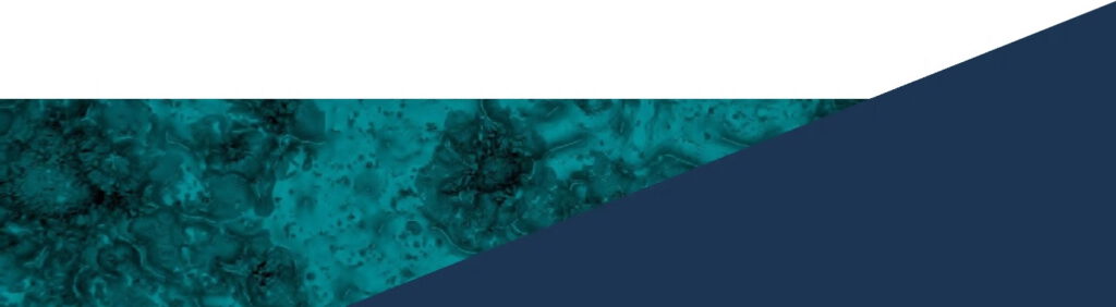 SAFD 6 – Statistical Analysis of Fatigue Data